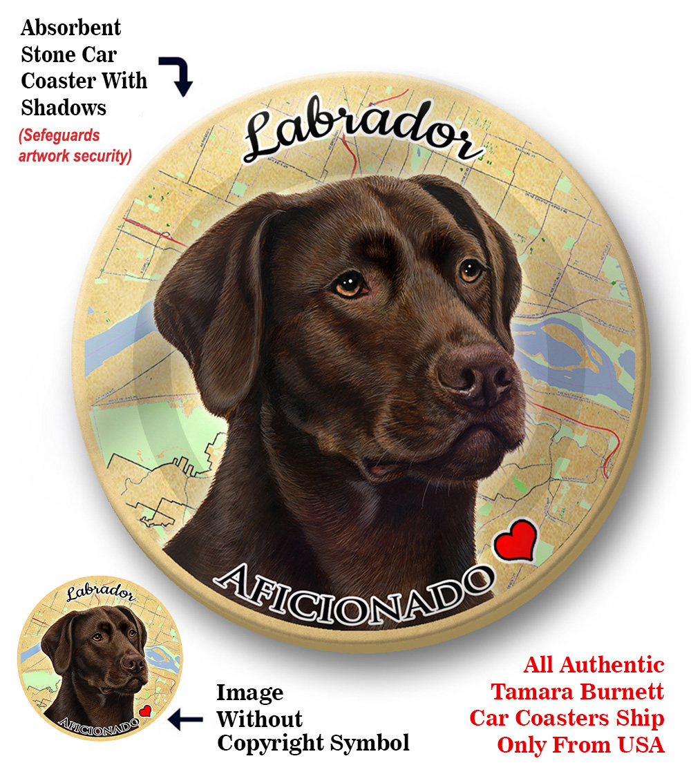 Labrador Retriever (Black) - Coaster Buddy | Pet Gifts USA