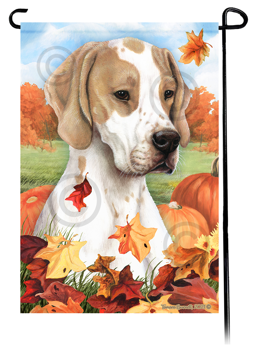 English Pointer Products