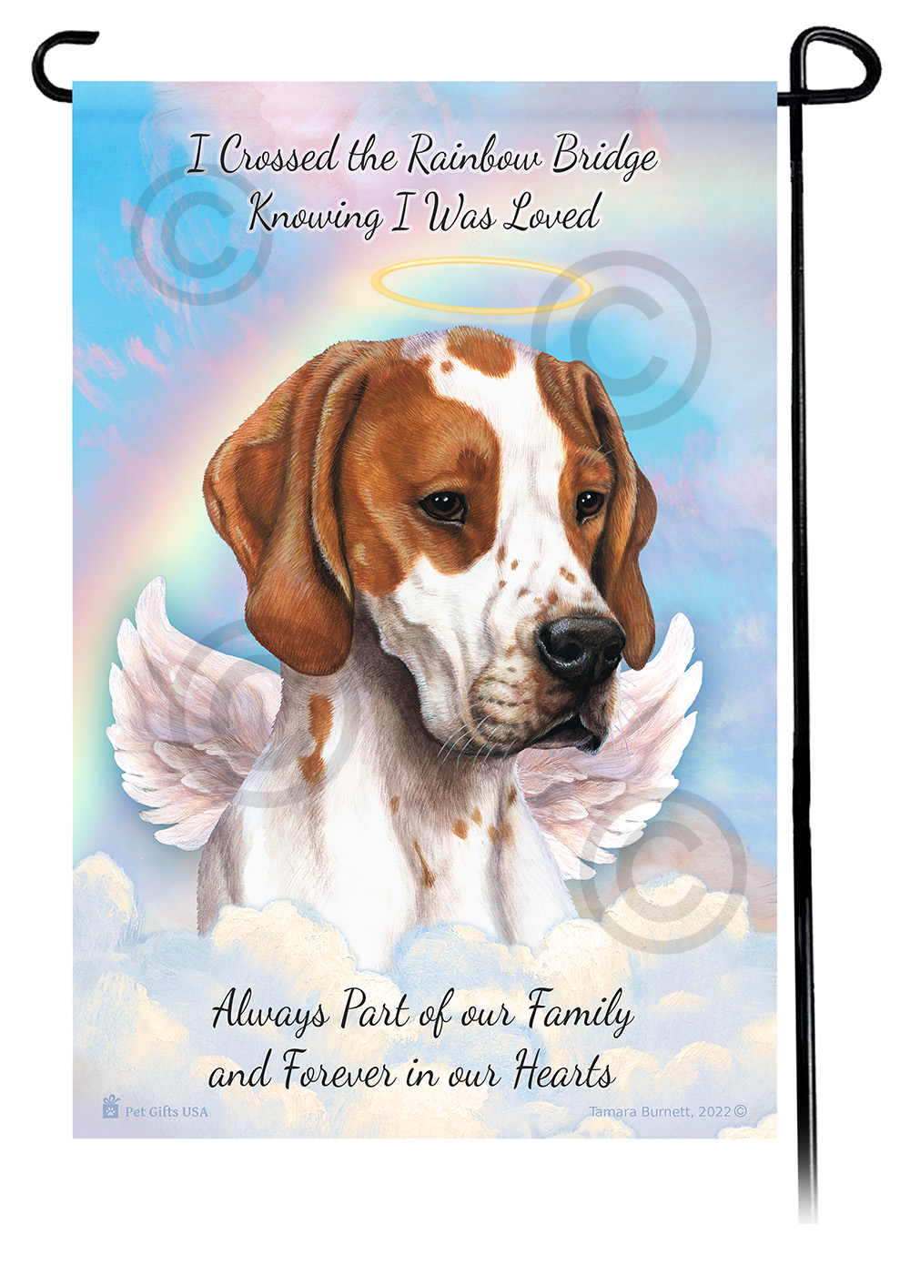 English Pointer Products