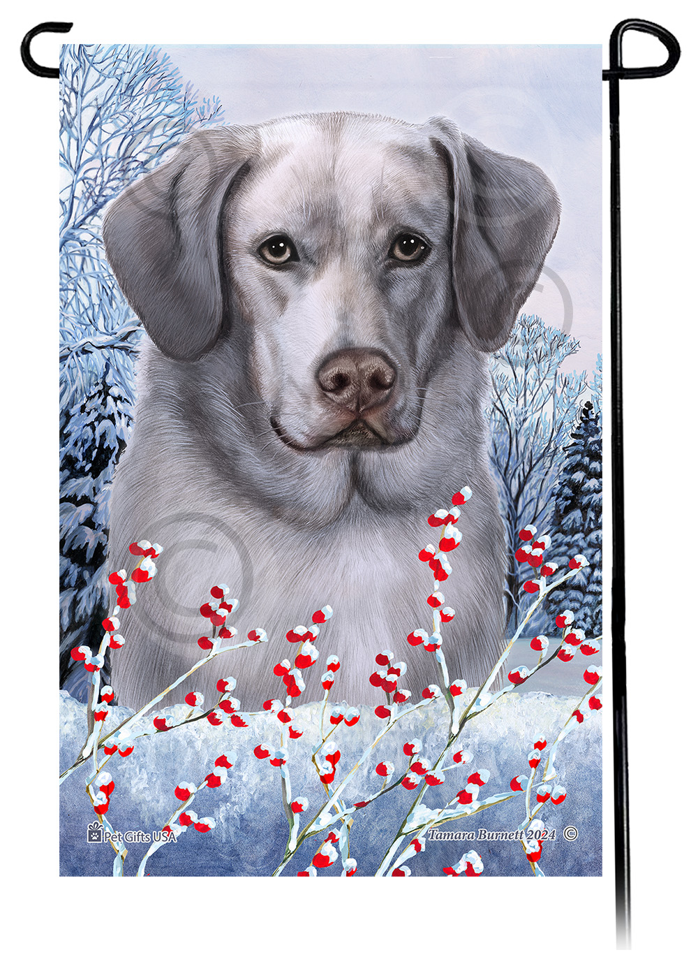 Labrador Retriever (American Silver Front Facing) - Winterberries ...