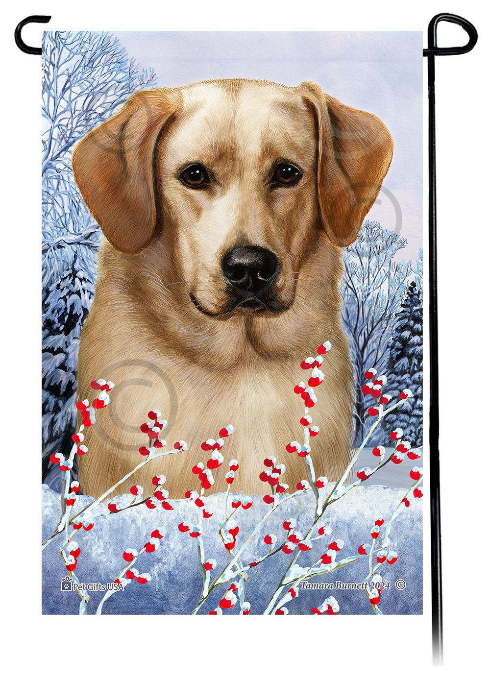 Labrador Retriever (American Yellow Front Facing) - Winterberries ...