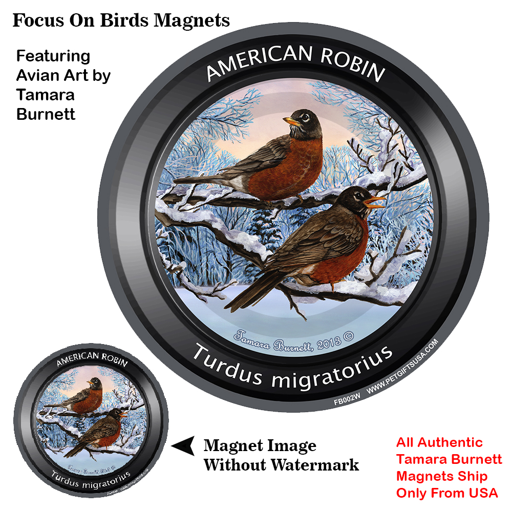 Magnets | Pet Gifts USA